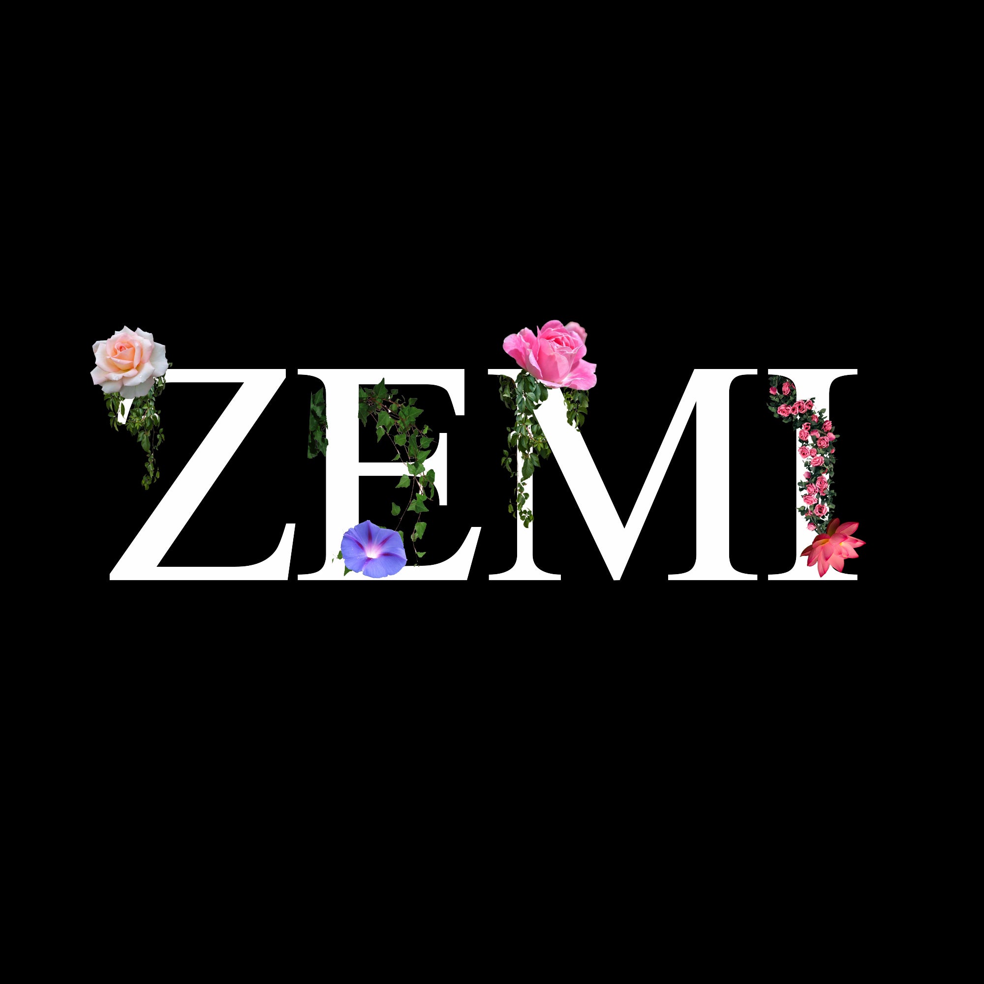 Products – ZEMI